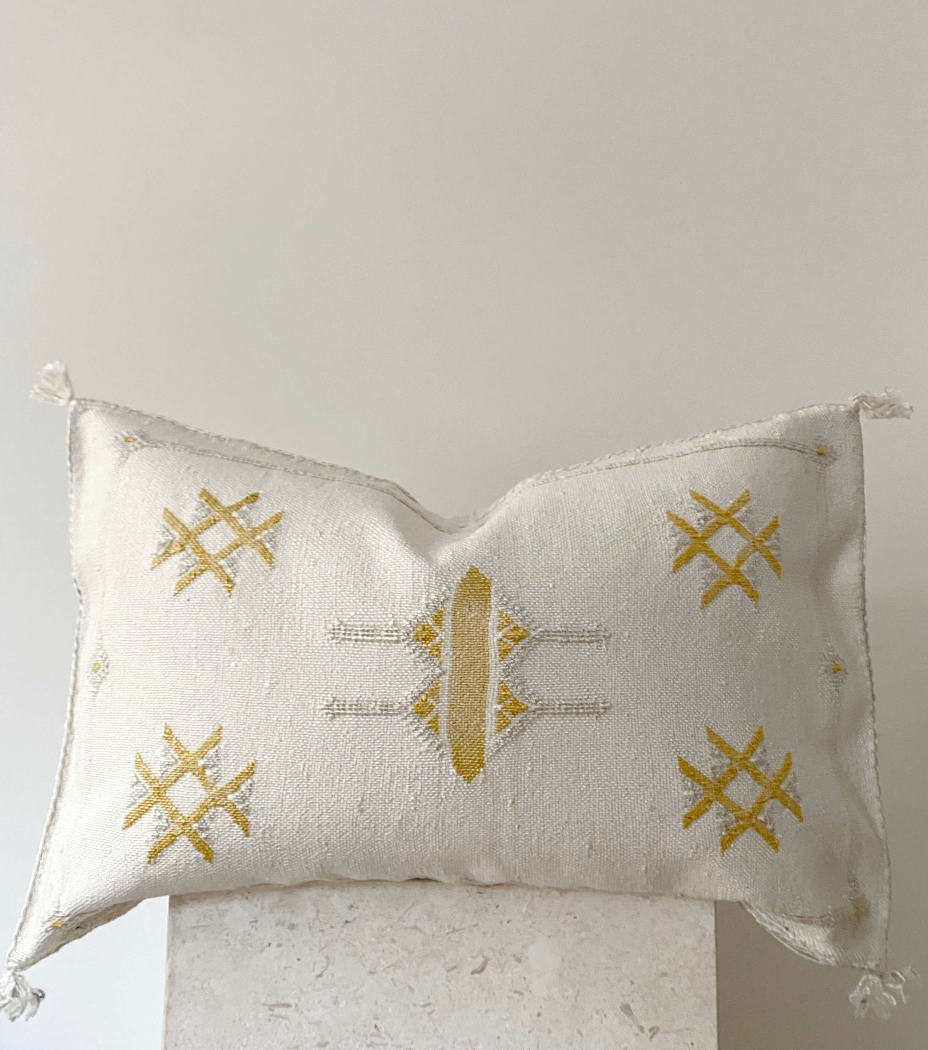 AZTEC HOUSE | Moroccan Cushions | Pink cactus silk cushions – Aztec House